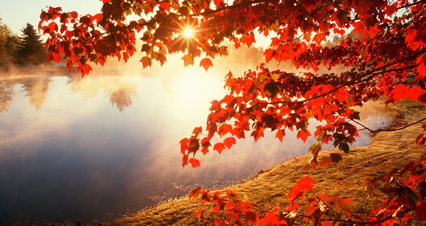 Dziś rozpoczyna się astronomiczna jesień - Polonorama